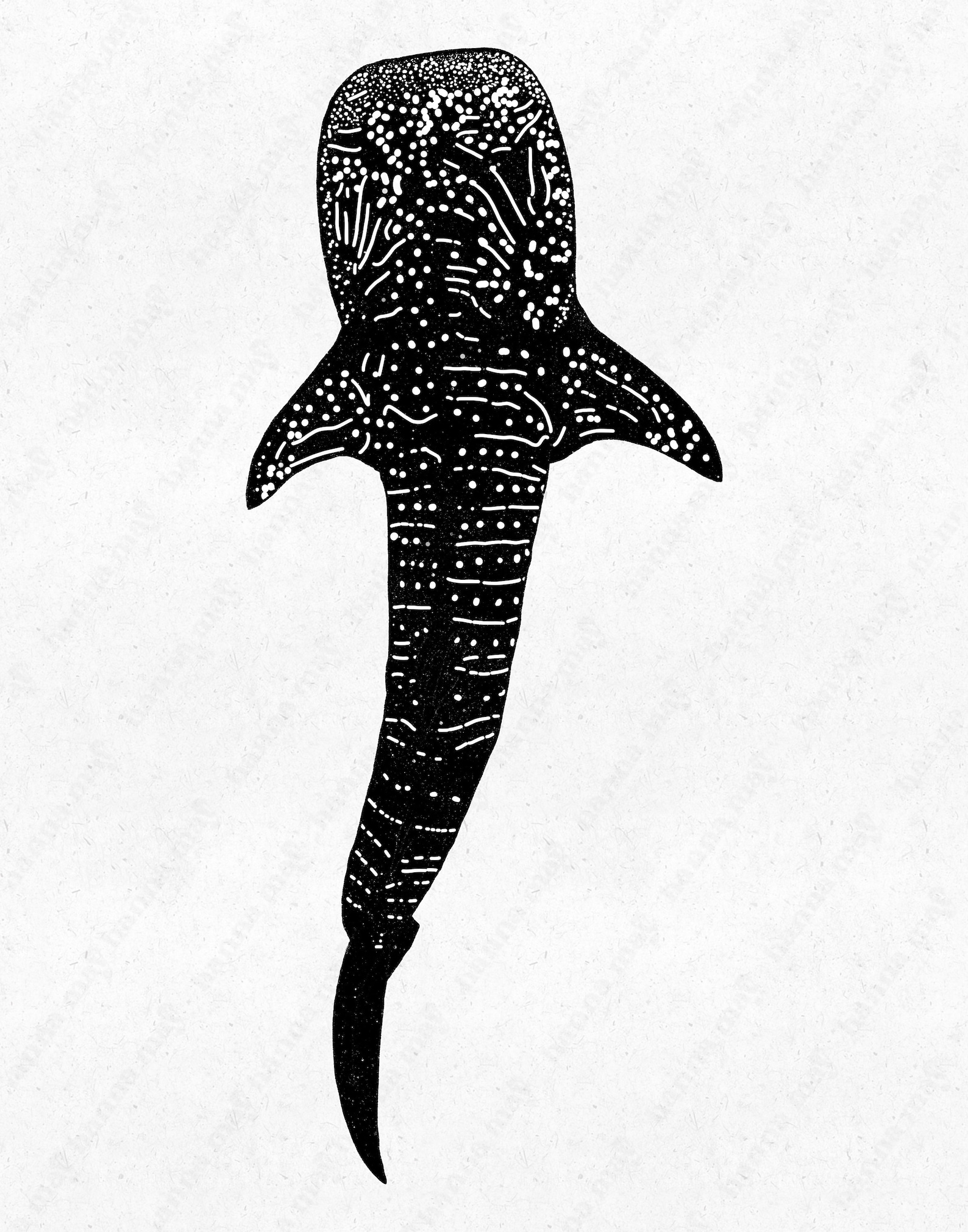 Whale Shark Art Print Simple Animal Home Decor Whale Shark - Etsy
