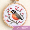 Robin in Winter - Colorful Bird Cross Stitch Pattern PDF Instant ...