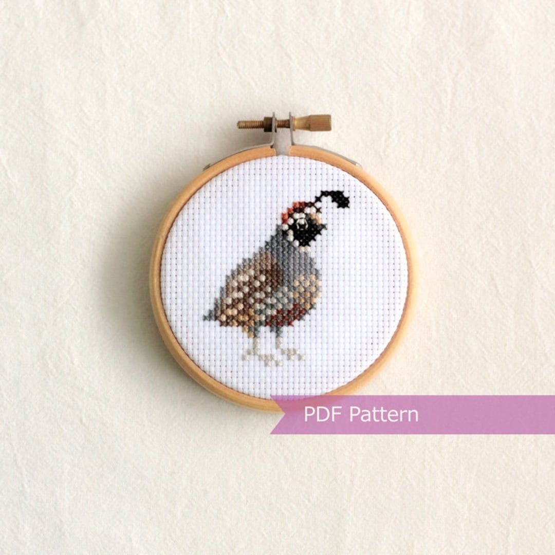 California Quail Cross Stitch Pattern PDF - California Quail Embroidery ...