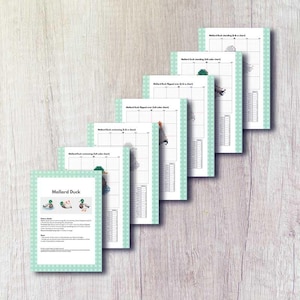 Mallard Duck Cross Stitch Pattern PDF Bundle - Set of 3 Mallard Duck ...