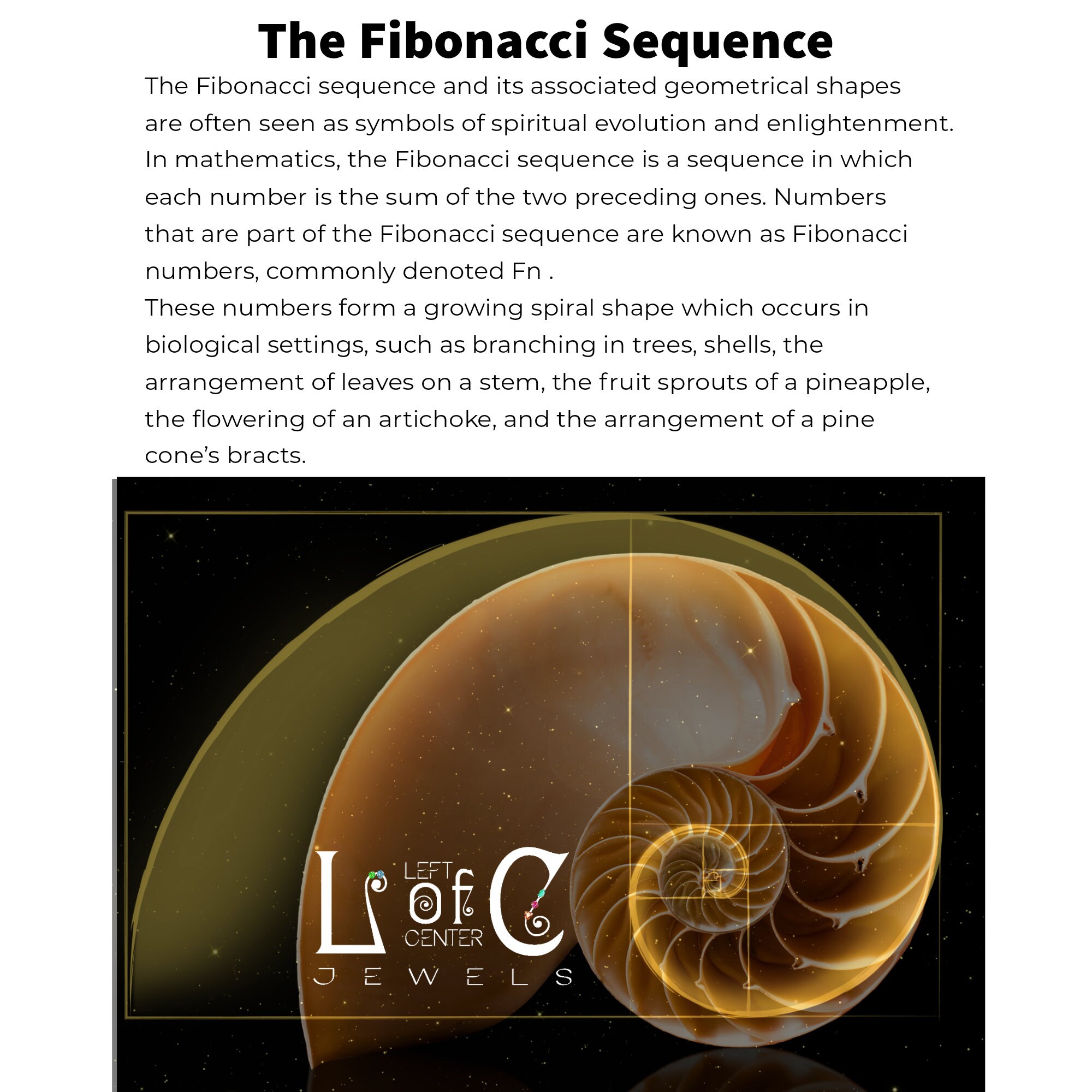 Fibonacci Jewelry. Fibonacci Spiral. Spiral Earrings. Golden - Etsy