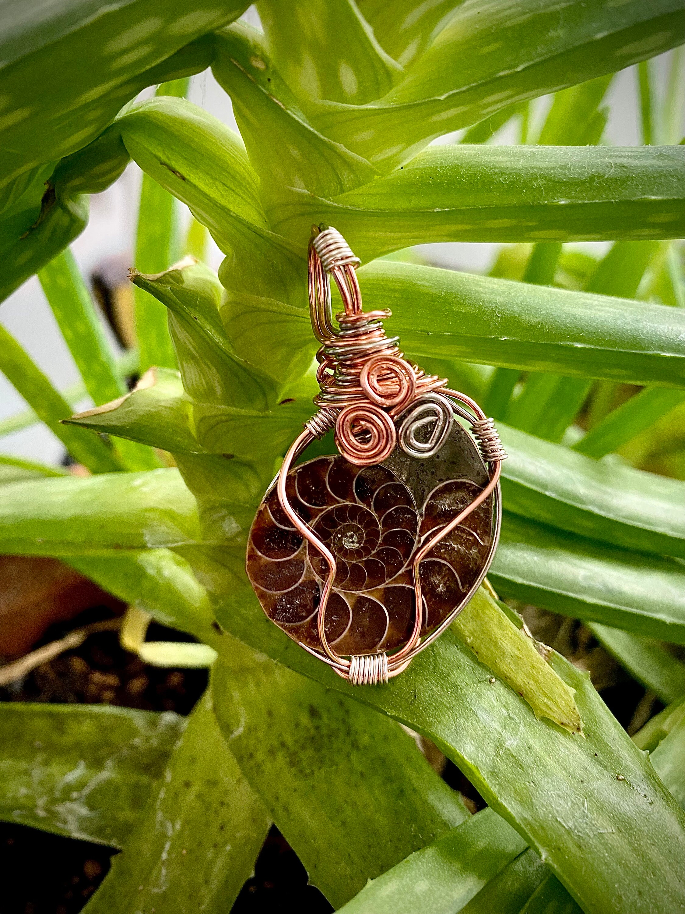 Pamunkey Native American Ammonite Wire Wrappes - Etsy
