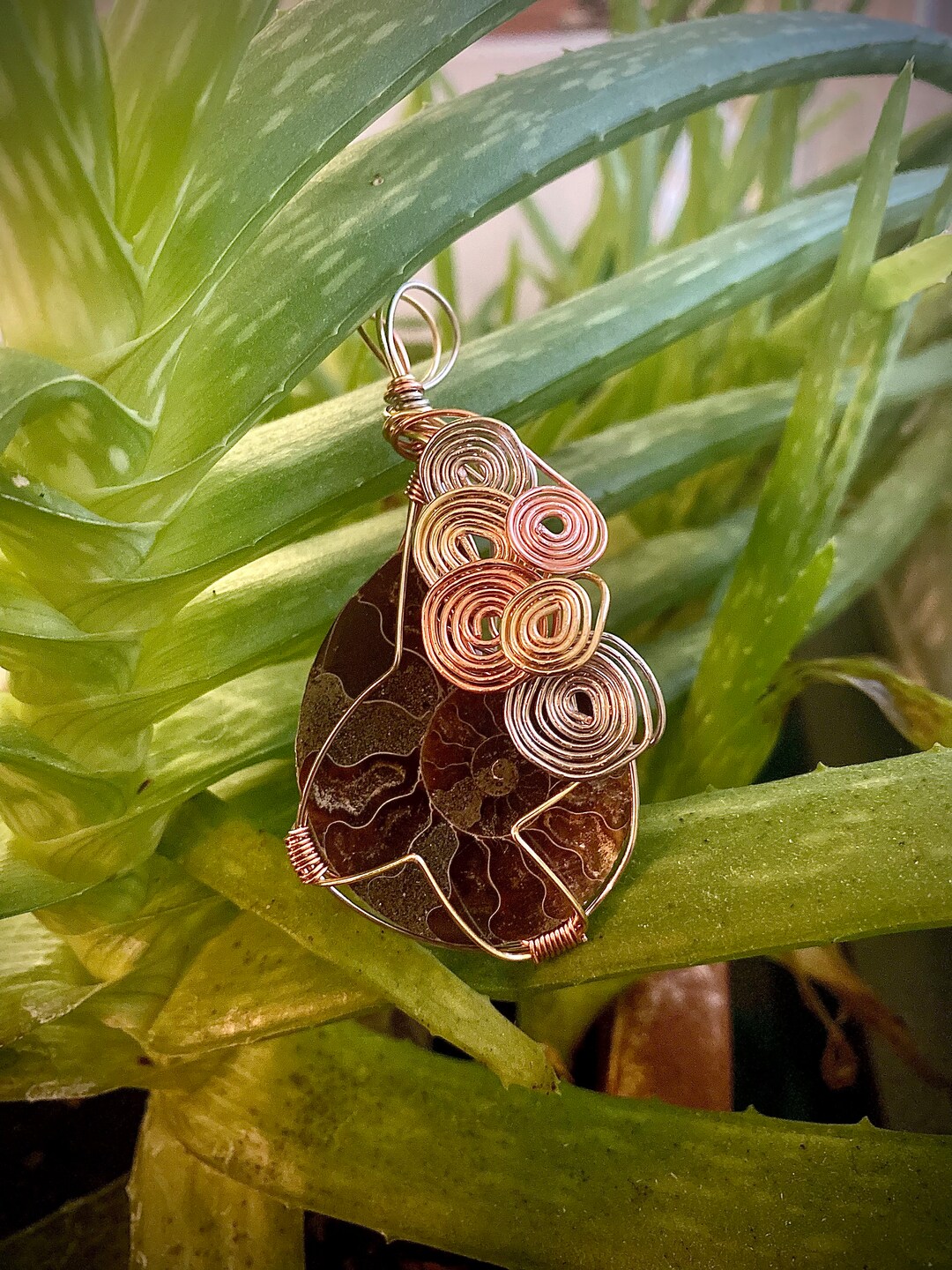 Pamunkey Native American Ammonite Wire Wrappes - Etsy