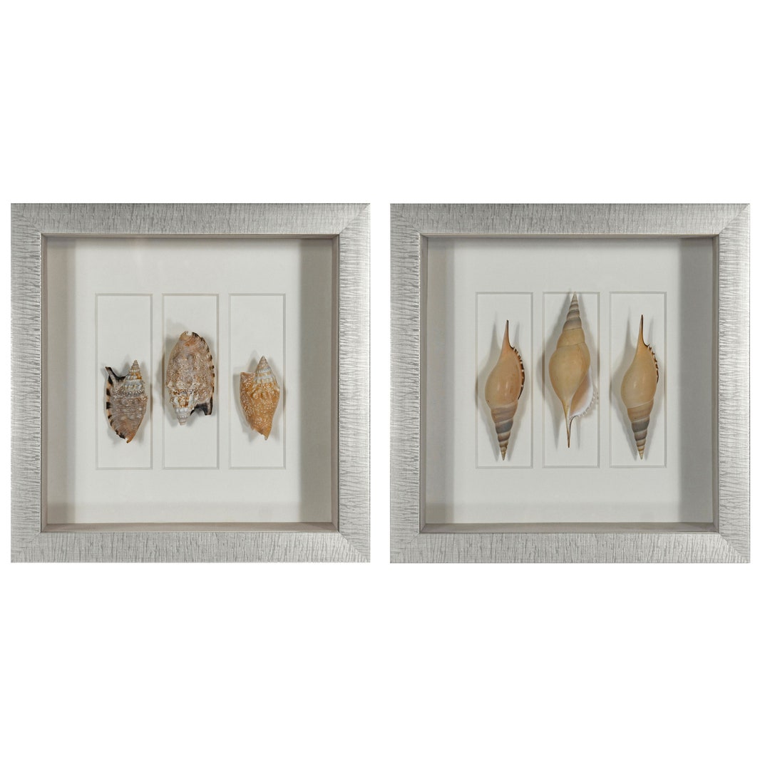 Sea Shell Shadow Box Wall Décor (2 Piece Set) - Etsy