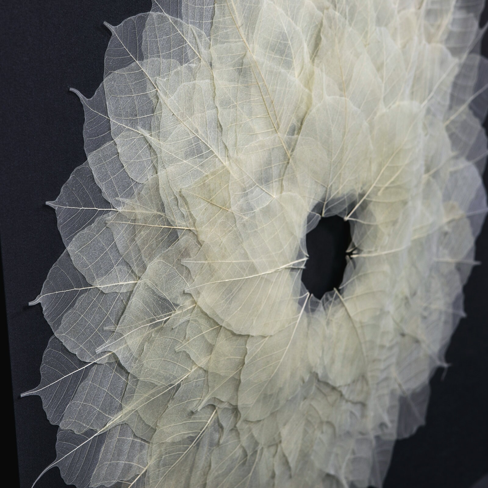 Contemporary Tree Wide Leaves Skeleton Framed Shadow Box Wall Art wide ...