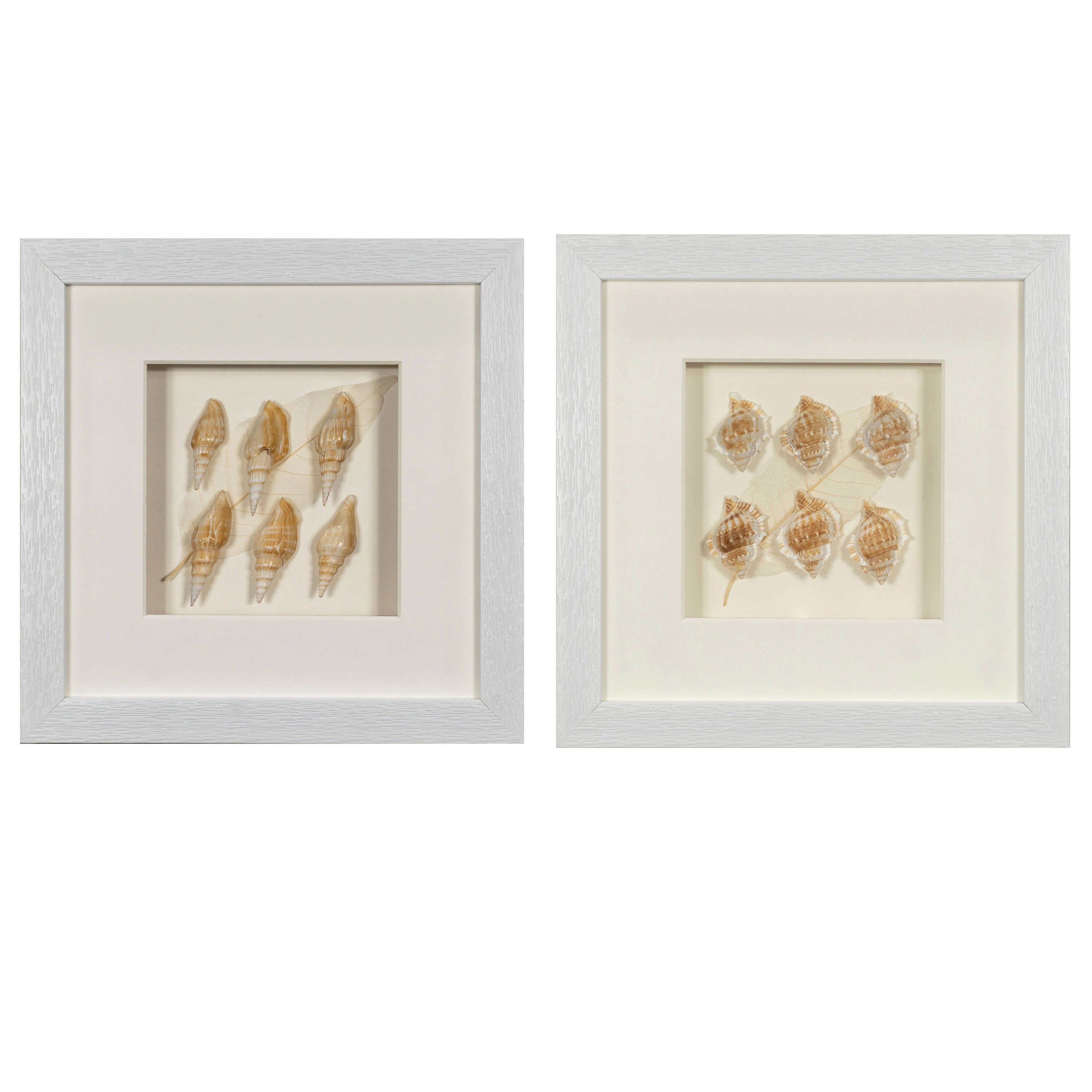 Sea Shell Shadow Box Wall Décor 2 Piece Set - Etsy