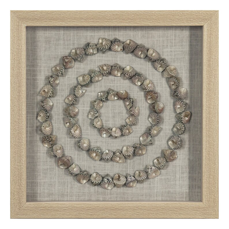 Sea Shell Rings Shadow Box Wall Décor 2 Piece Set - Etsy