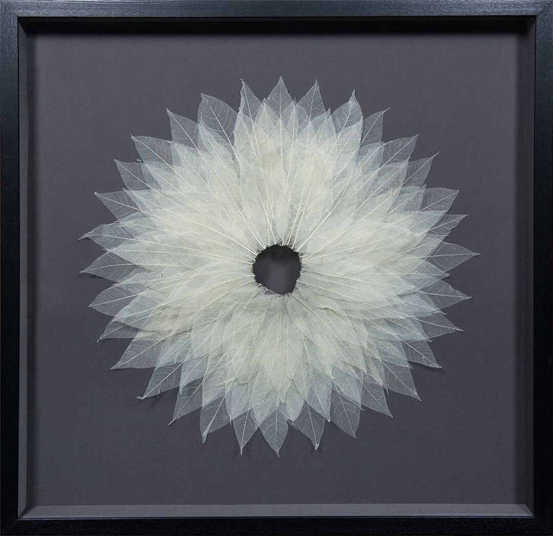 Tree Narrow Leaves Skeleton Framed Shadow Box narrow Leaf, 31 1/2 ...