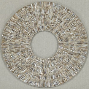 Pearl Oyster Shell Shadow Box Wall Décor (MS55745B) - Etsy