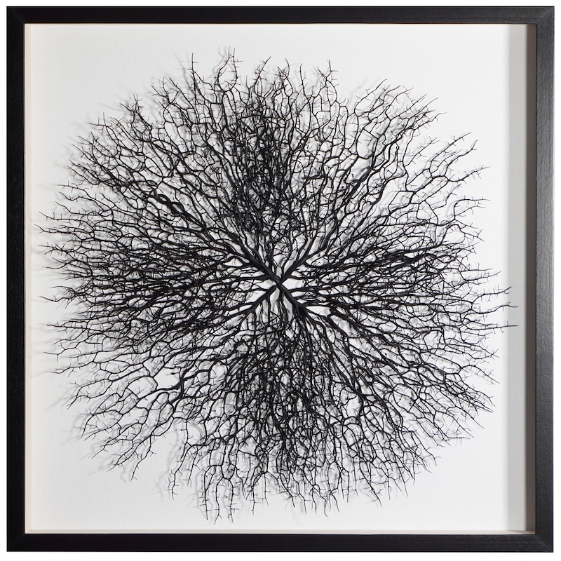 Tree Roots Wall Art - Etsy