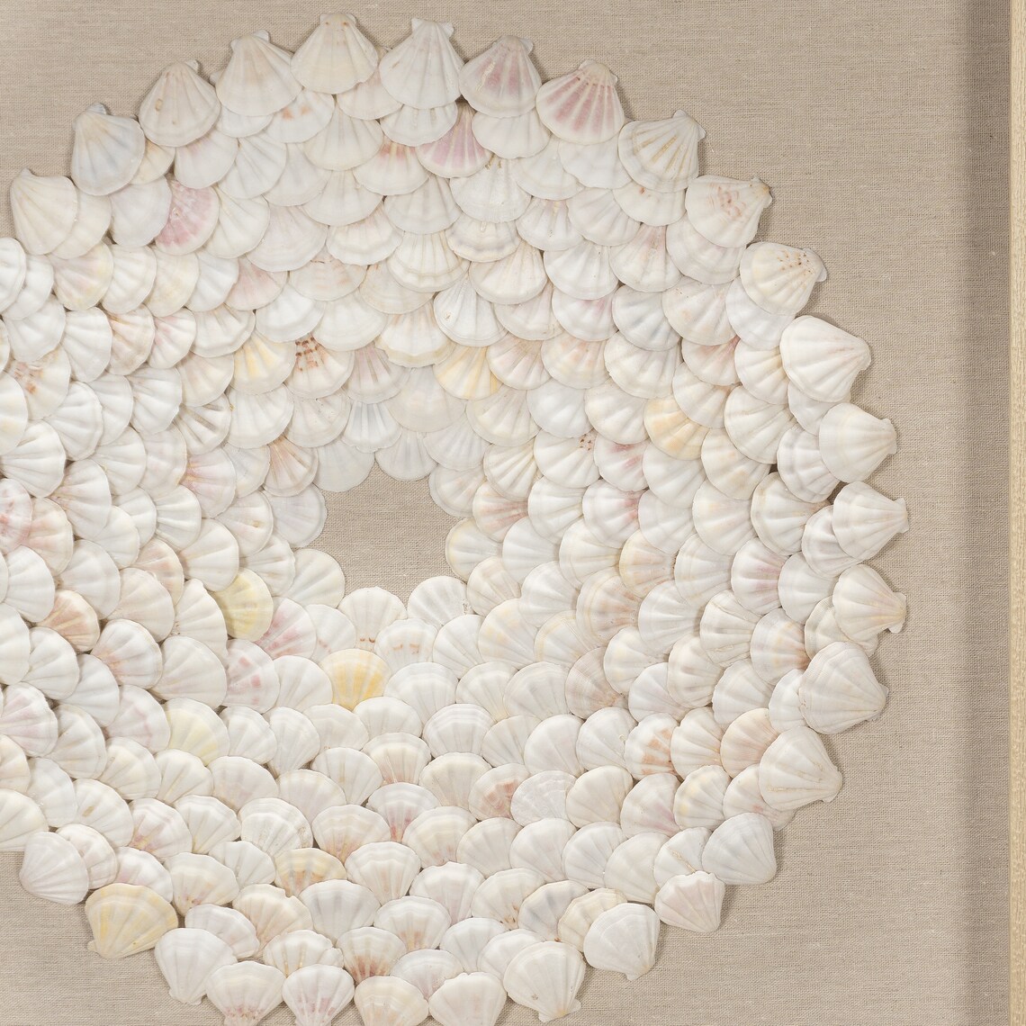 HUJI Mini Scallop Shells Shadow Box Wall Décor (MS56275B) - Etsy