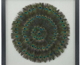 Feather Shadow Box | Etsy