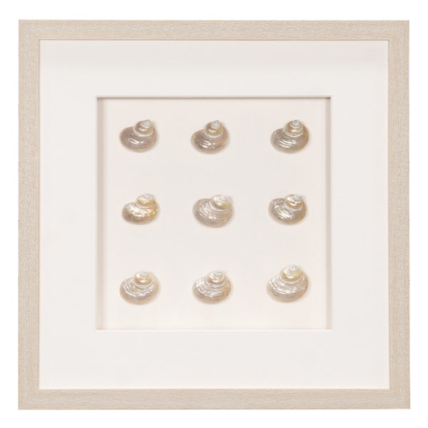 Shell Shadow Box - Etsy