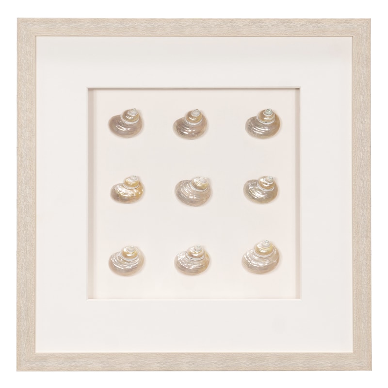 Shell Shadow Box - Etsy