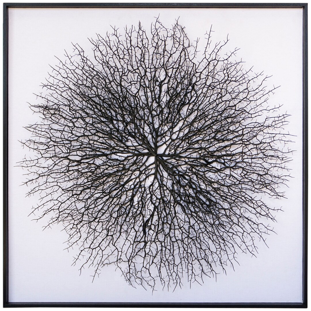 Yudeco Tree Roots Shadow Box Wall Décor (MS56022) - Etsy