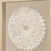 HUJI Mini Scallop Shells Shadow Box Wall Décor MS56275B - Etsy