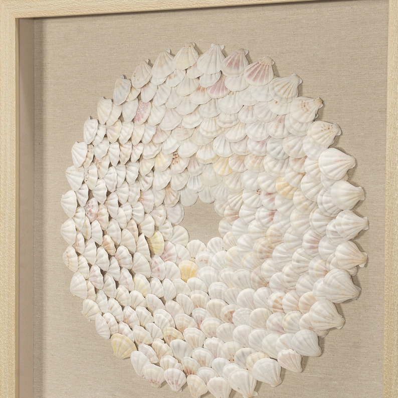 HUJI Mini Scallop Shells Shadow Box Wall Décor (MS56275B) - Etsy
