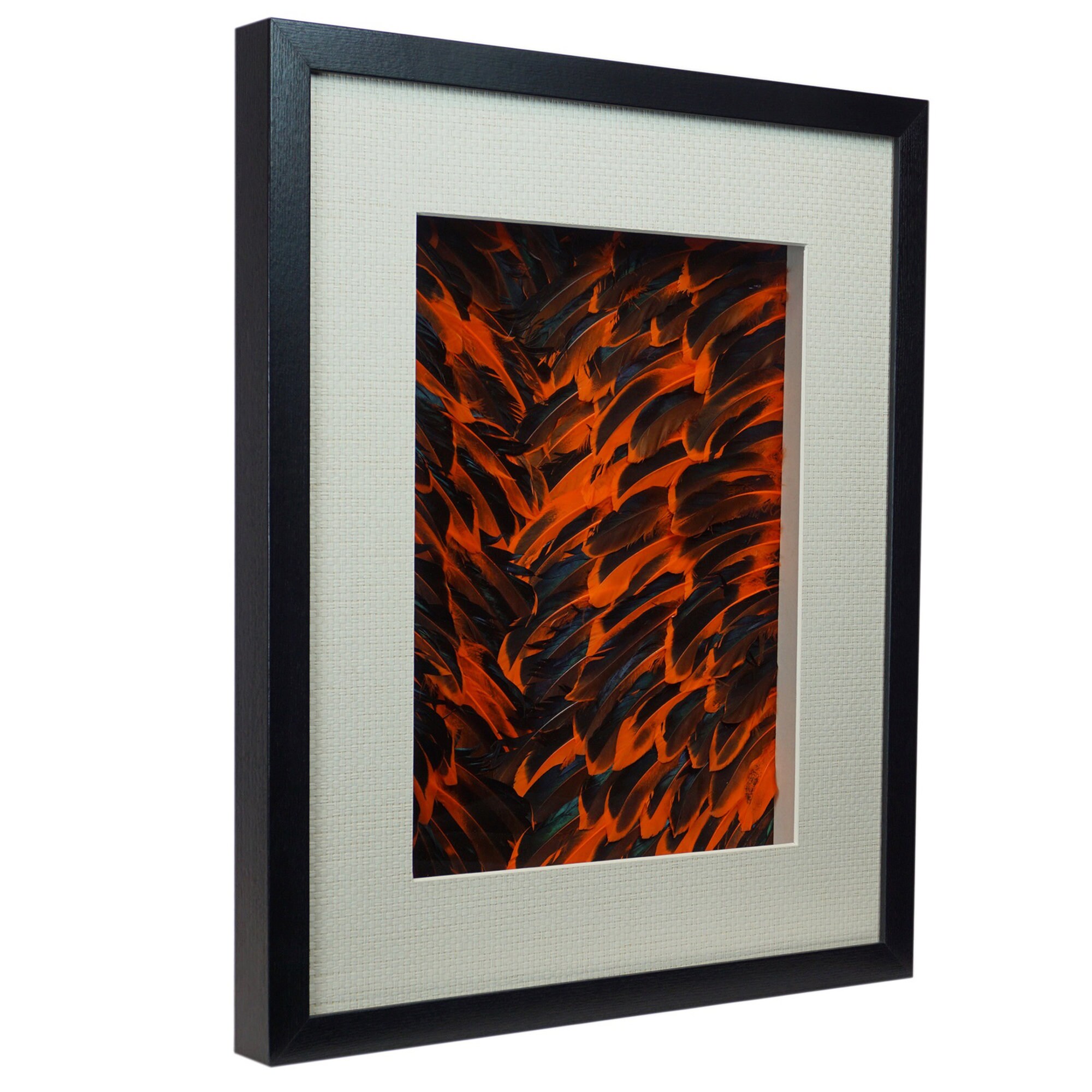 Oriole Fire Waterfall Feather Shadow Box MS30546B - Etsy