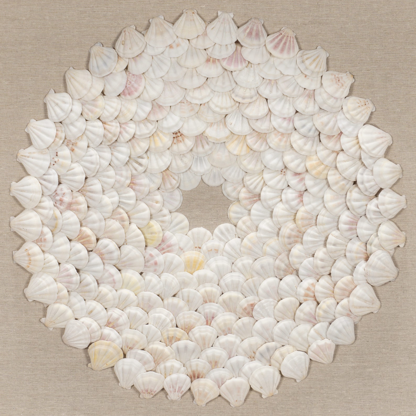 HUJI Mini Scallop Shells Shadow Box Wall Décor (MS56275B) - Etsy