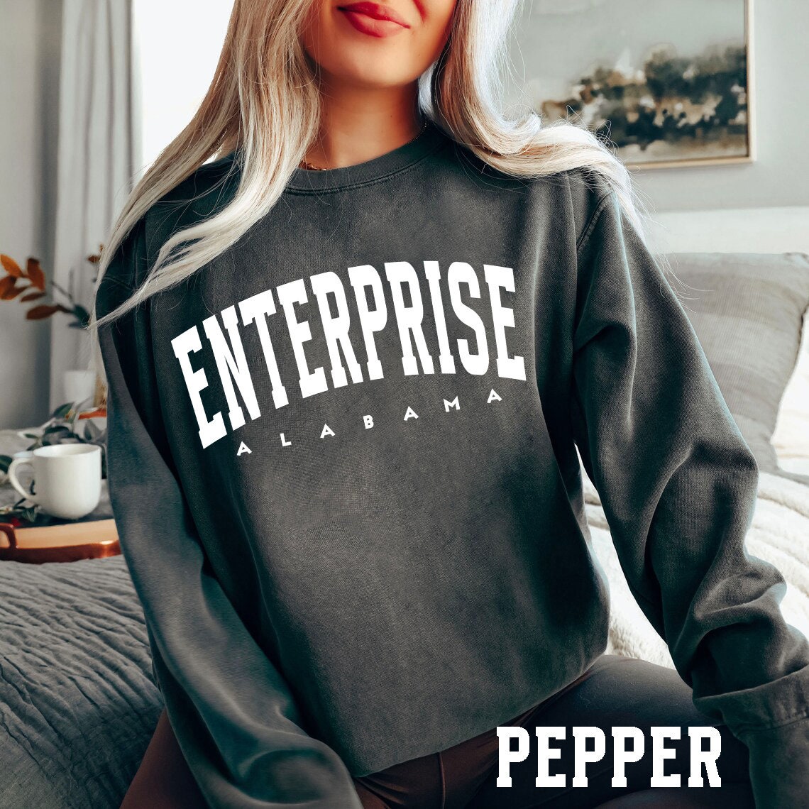 Comfort Colors Enterprise Shirt, Enterprise Sweatshirt, Retro ...