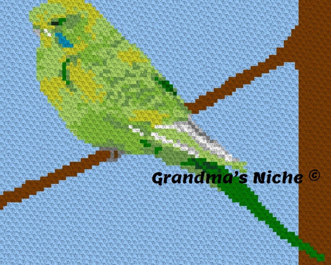 Parakeet - Crochet Blanket C2C Pattern, “written Instructions ...