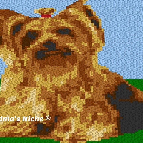 Latch Hook Pattern - Etsy