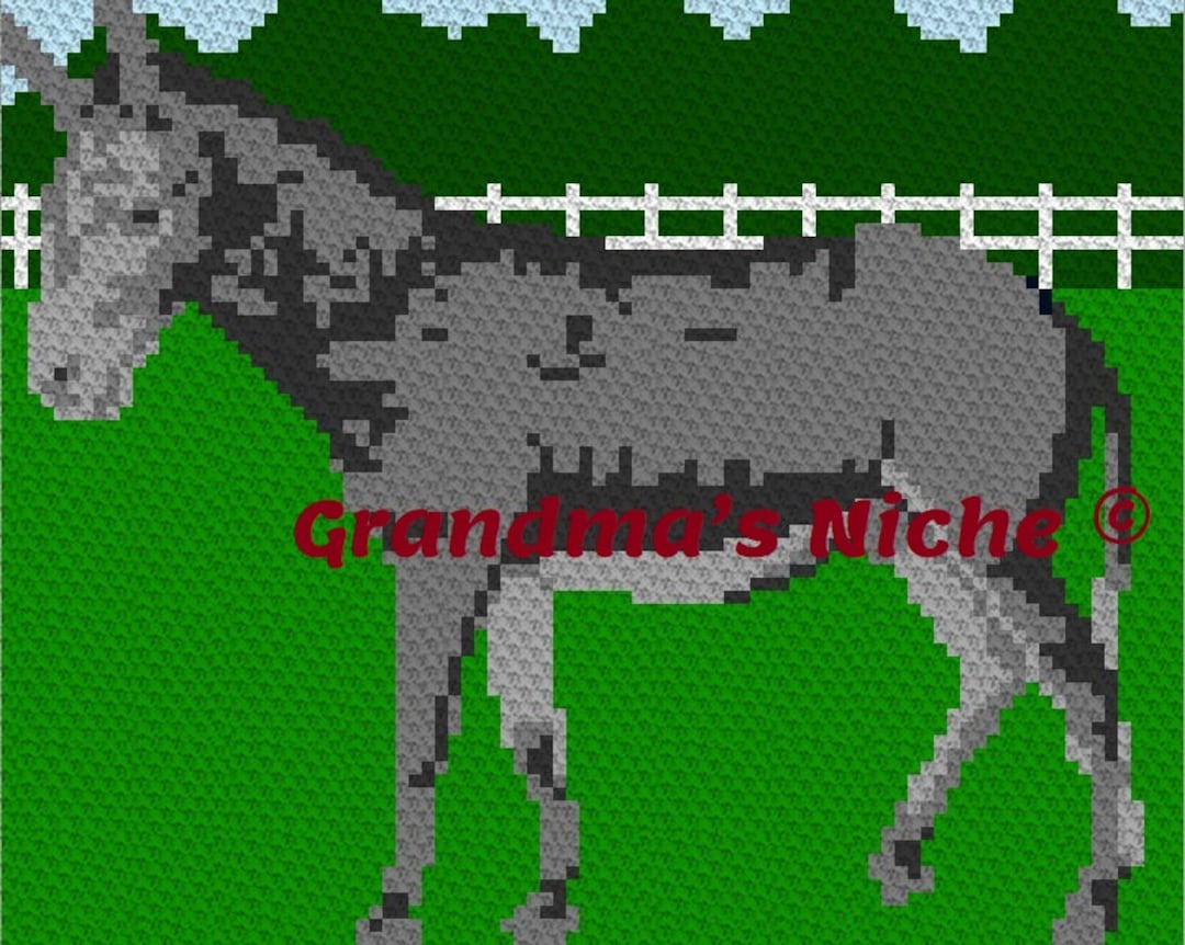 Donkey – Crochet Blanket C2C Pattern, Written Instructions, Tunisian ...