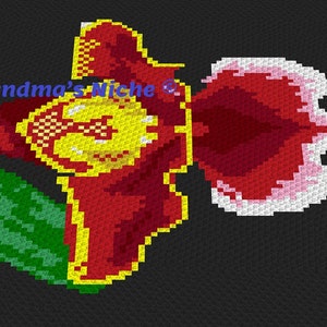 Paphiopedilum Orchid - Crochet Blanket C2C Pattern, “written ...