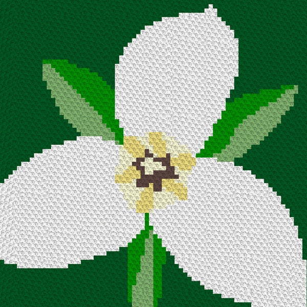 Crochet Trillium Pattern - Etsy
