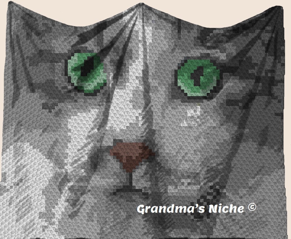 Cat Profile Crochet Blanket C2C Pattern written - Etsy