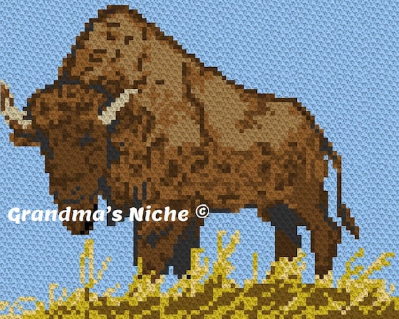 Buffalo Crochet Blanket C2C Pattern written Instructions | Etsy