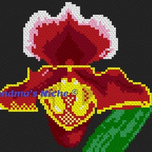 Paphiopedilum Orchid - Crochet Blanket C2C Pattern, “written ...