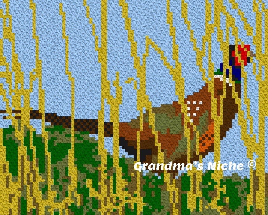 Pheasant Crochet Blanket C2C Pattern written - Etsy