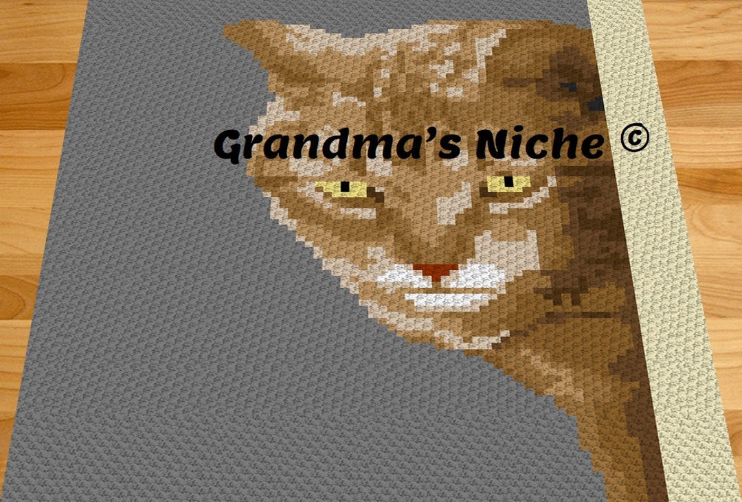 Peek-a-boo – Crochet Blanket C2C Pattern, Written Instructions ...