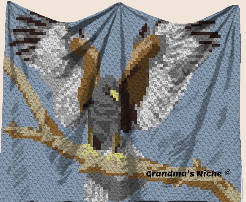 Harris Hawk Crochet Blanket C2C Pattern written - Etsy