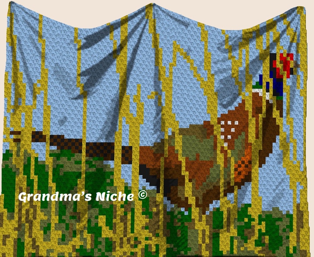 Pheasant Crochet Blanket C2C Pattern written - Etsy