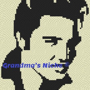 Elvis Silhouette – Crochet Blanket C2C Pattern, Written Instructions ...