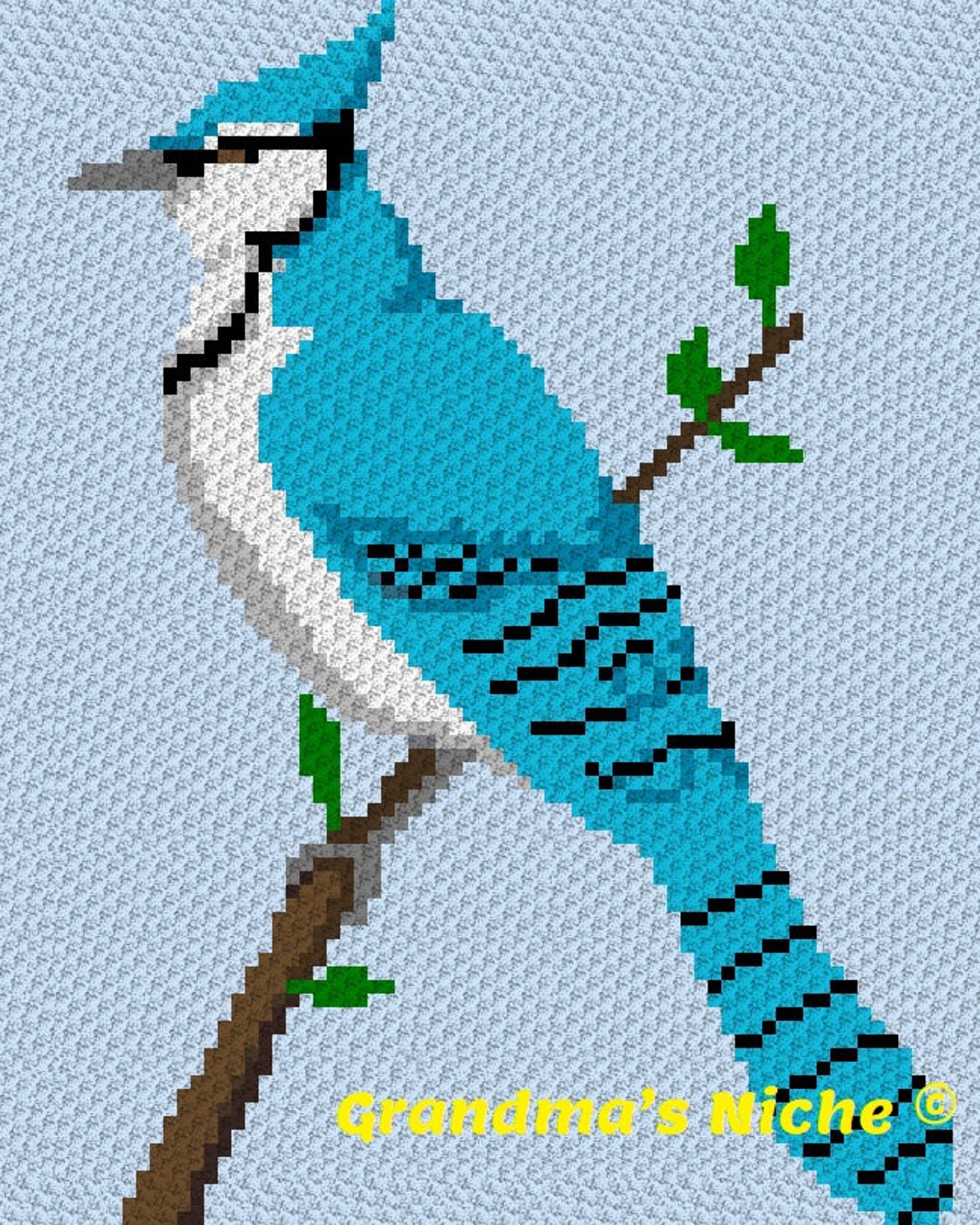 Blue Jay - Crochet Blanket C2C Pattern, “written Instructions ...