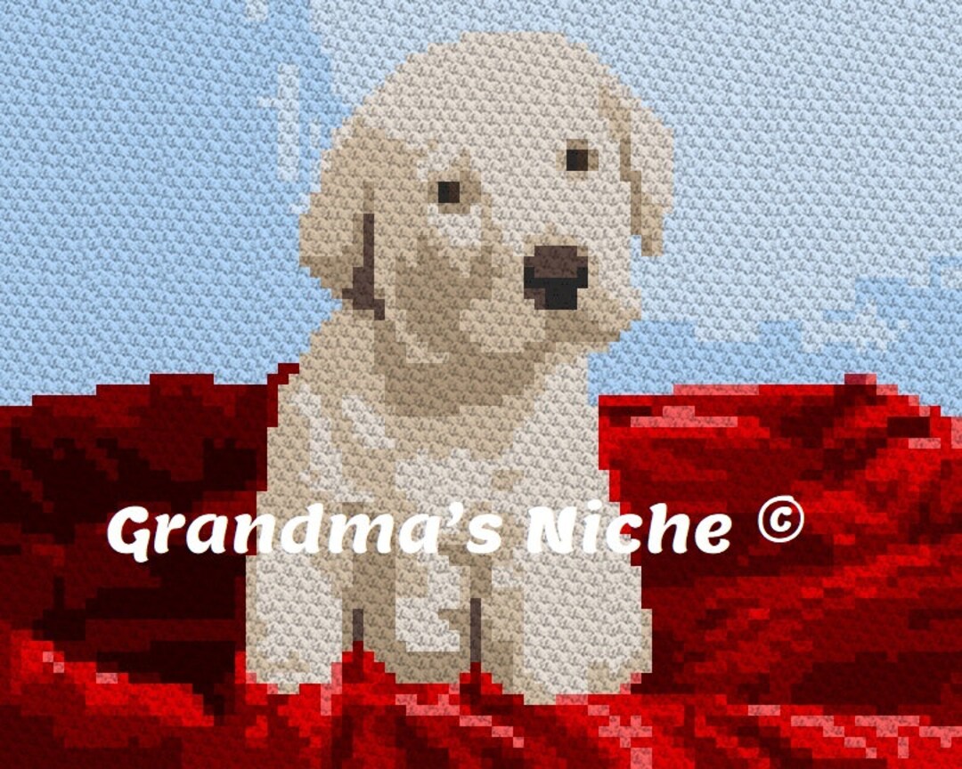 Puppy – Crochet Blanket C2C Pattern, Written Instructions, Tunisian ...