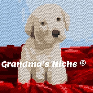 Puppy – Crochet Blanket C2C Pattern, Written Instructions, Tunisian ...