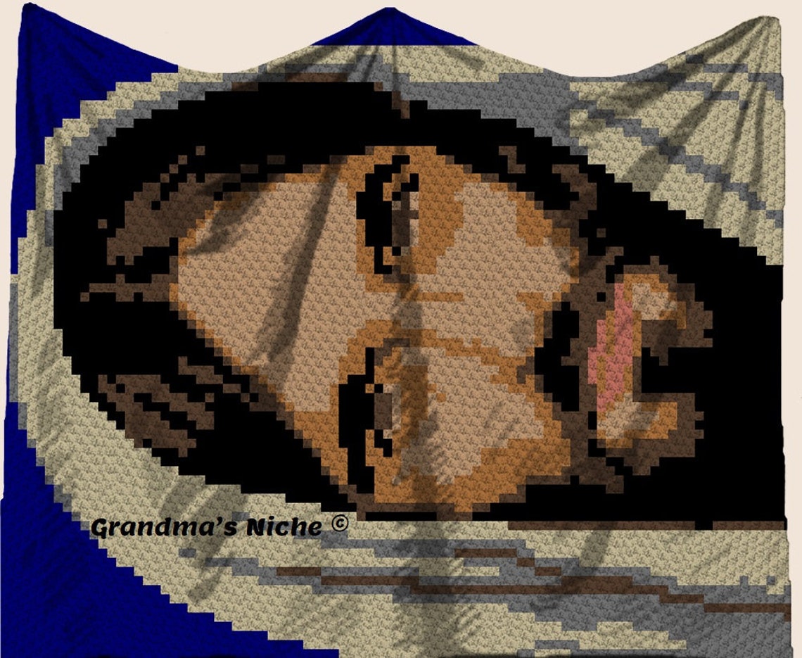 Jesus Crochet Blanket C2C Pattern written Instructions - Etsy