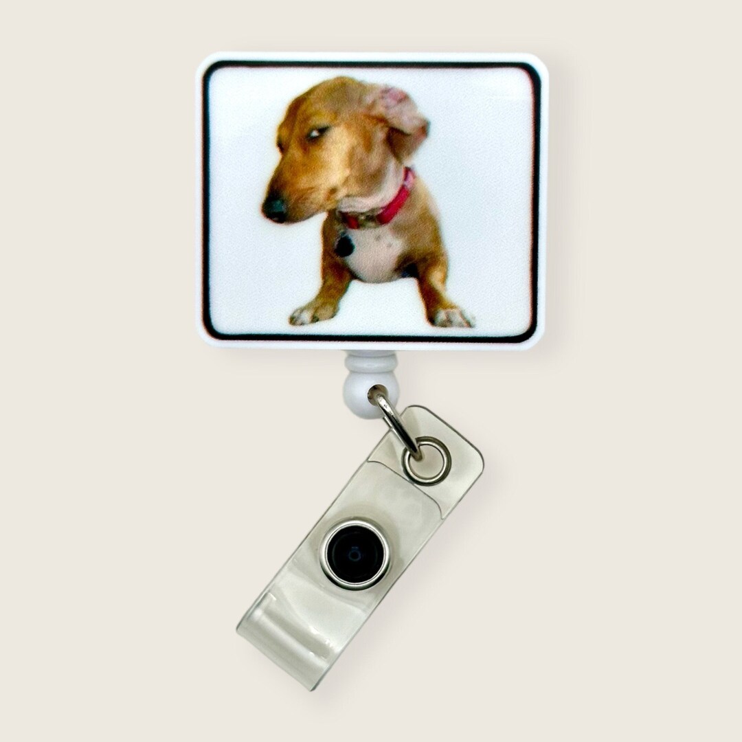 Side Eye Dog Meme Badge Reel, Funny Retractable Badge Reel, Badge ...