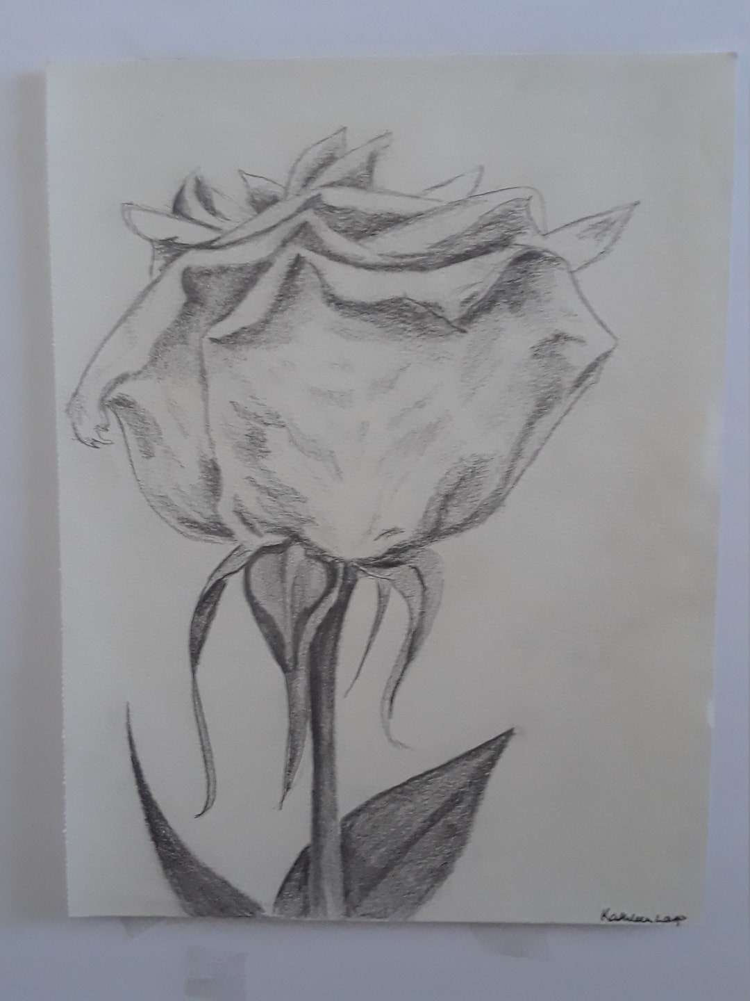 ORIGINAL Rose Graphite Drawing - Etsy