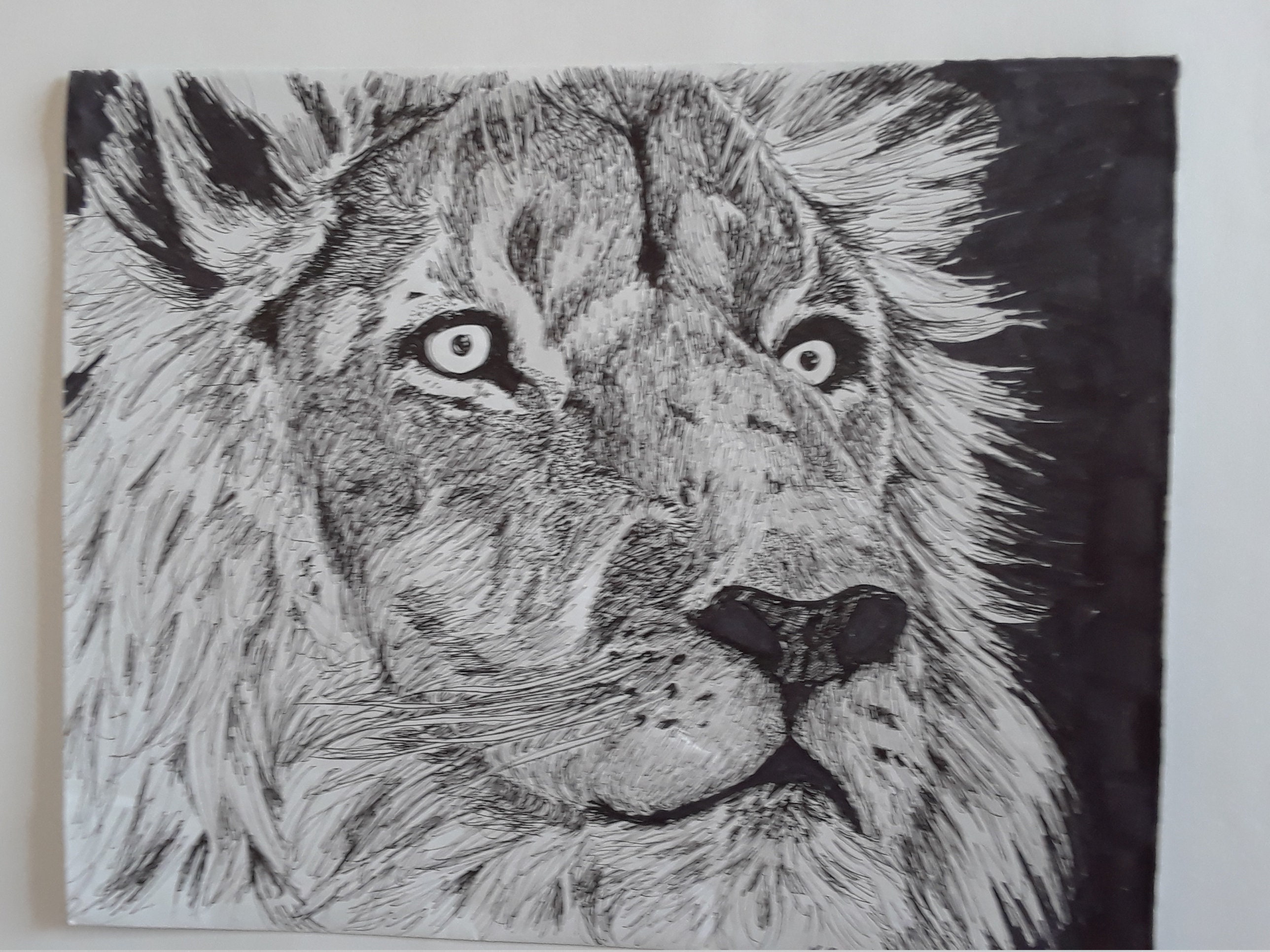 Lion Ink Drawing Fine Art Print - Etsy