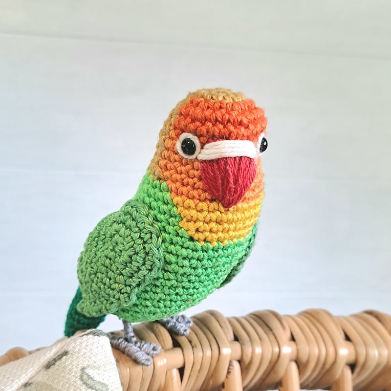 Crochet Parrot Pattern - Etsy