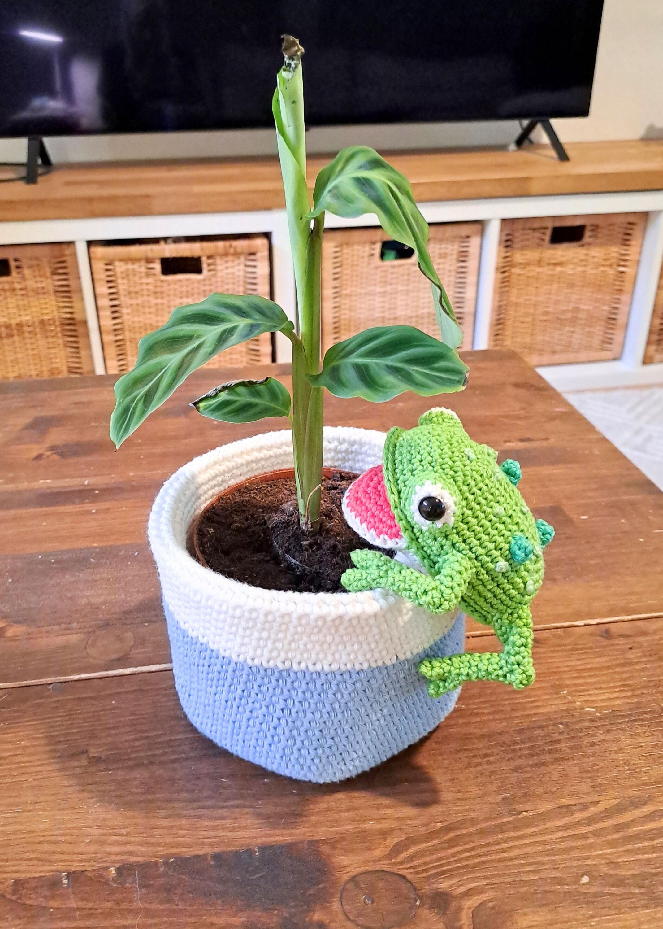 Frog Hanging Planter Crochet Pattern: Amigurumi Plant Holder (PDF) - Etsy