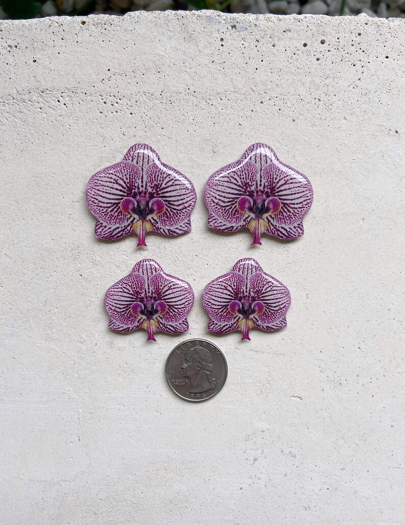 Orchid Earring, Orchid Jewelry, Big Flower Earring, Purple White Orchid ...