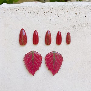 Red Nails, Waterslide Decals, Plant Nail Decals, Leaf Nail Art, Full ...