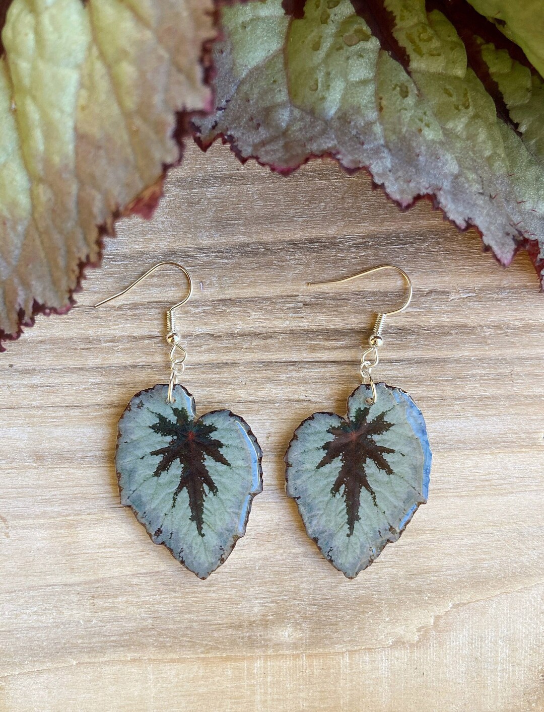 Begonia Fire Woman Plant Earrings, Begonia Rex, Leaf Dangle Earrings ...