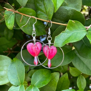 Bleeding Heart Earring, Mother's Day Jewelry, Heart Earrings, Bleeding ...
